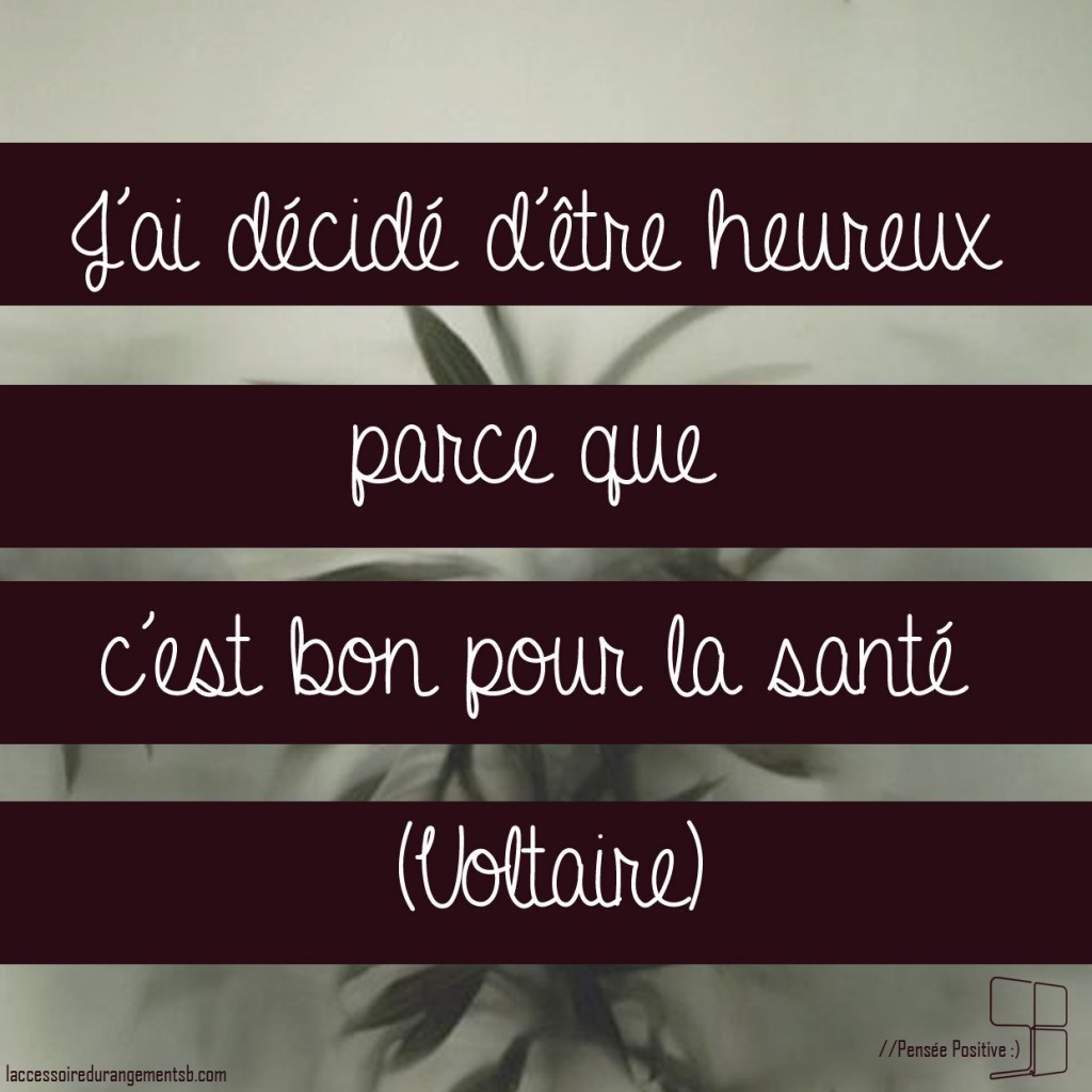 CITATIONS – L'ACCESSOIRE DU RANGEMENT /BLOG SUR L'ORGANISATION MAIS PAS ...