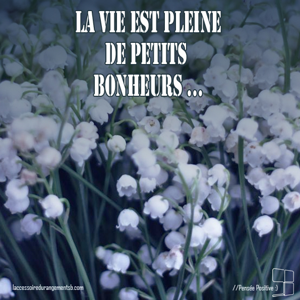 CITATIONS – L'ACCESSOIRE DU RANGEMENT /BLOG SUR L'ORGANISATION MAIS PAS ...