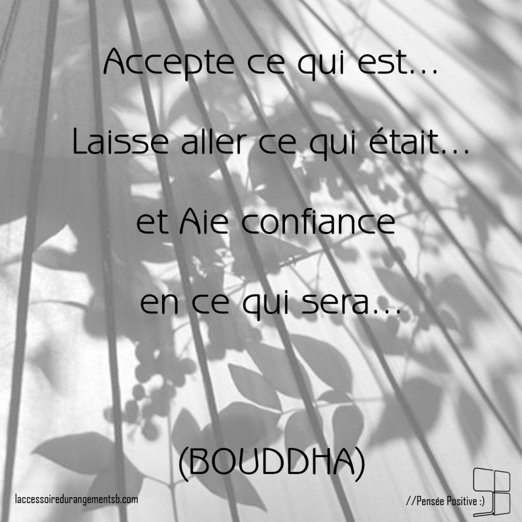 CITATIONS – L'ACCESSOIRE DU RANGEMENT /BLOG SUR L'ORGANISATION MAIS PAS ...